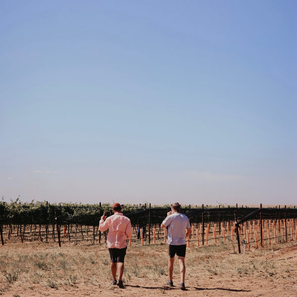 One Elm Vineyards - The Austin Winery