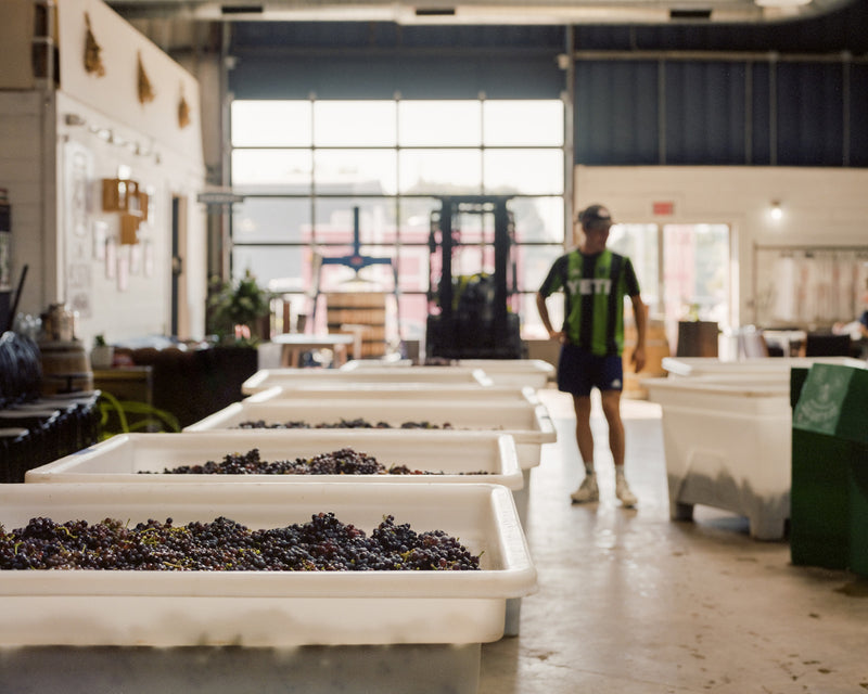 Tasting Room Menu - The Austin Winery